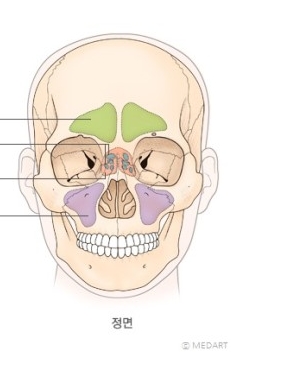 Dr. Lee's Sinus School (Cosoom Oriental Medicine Clinic) : April 2016