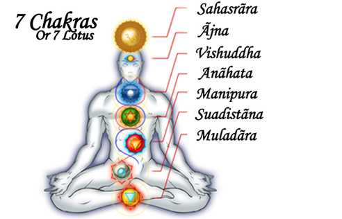 Cakra Sebagai Penyerap Energi Kehidupan - Mempelajari Energi Prana dan ...
