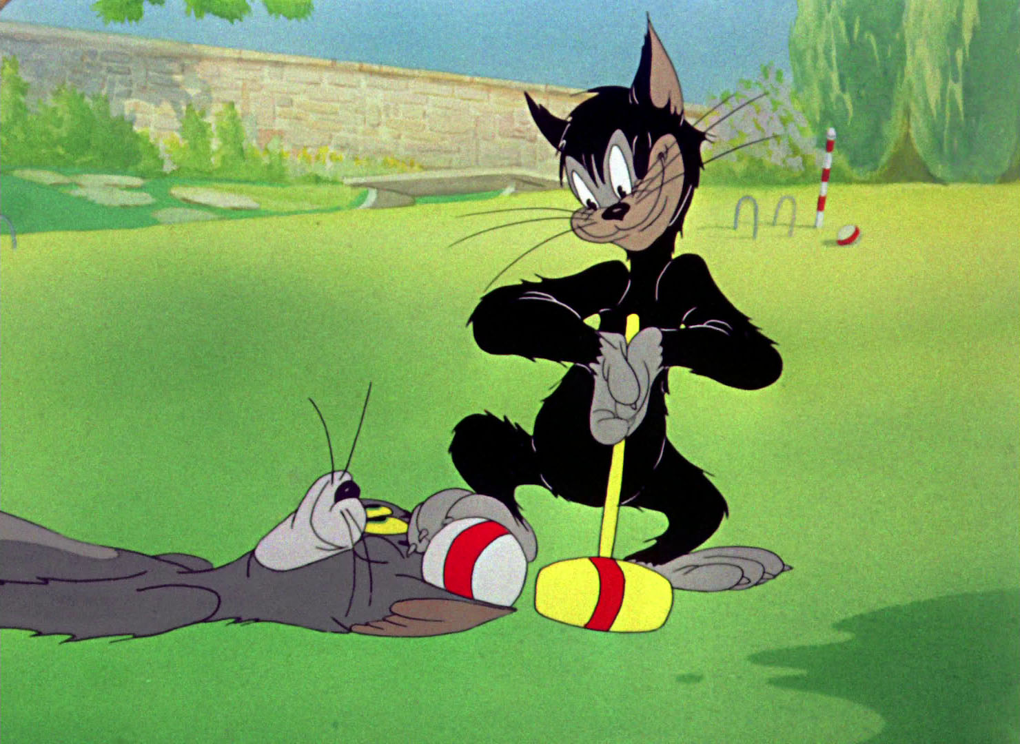 Blog Archives - masterblind