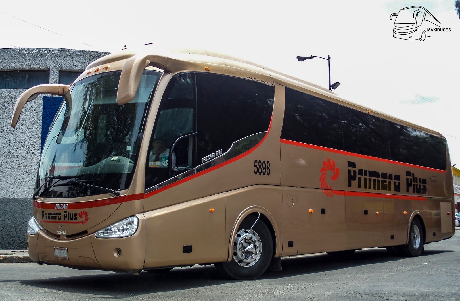 MAXIBUSES: PRIMERA PLUS
