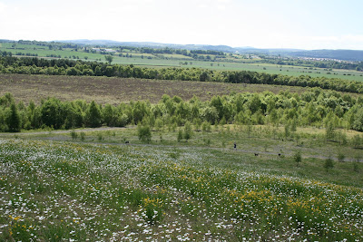 All Our Stories- 'Fallin Bing- from Coalfield to Brownfield!': Fallin ...
