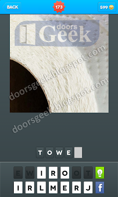 Zoomed In - Photo Word Game Level 173 ~ Doors Geek