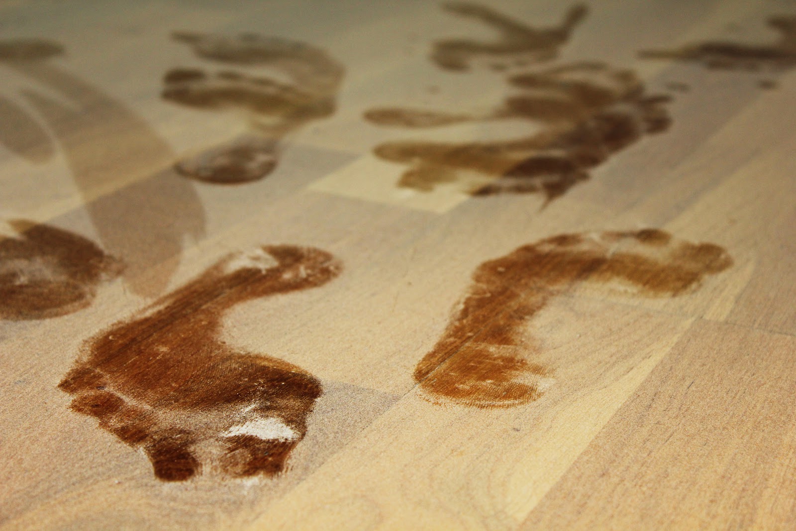 Mad Rambling Lady: Footprints in the Dust