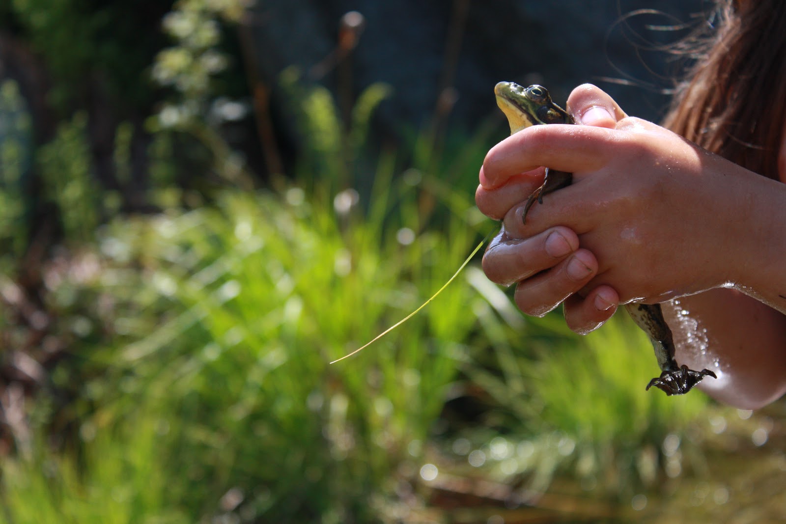 Simple Things Notebook: Make & Listen Along