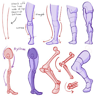 Learning drawing principles: leg