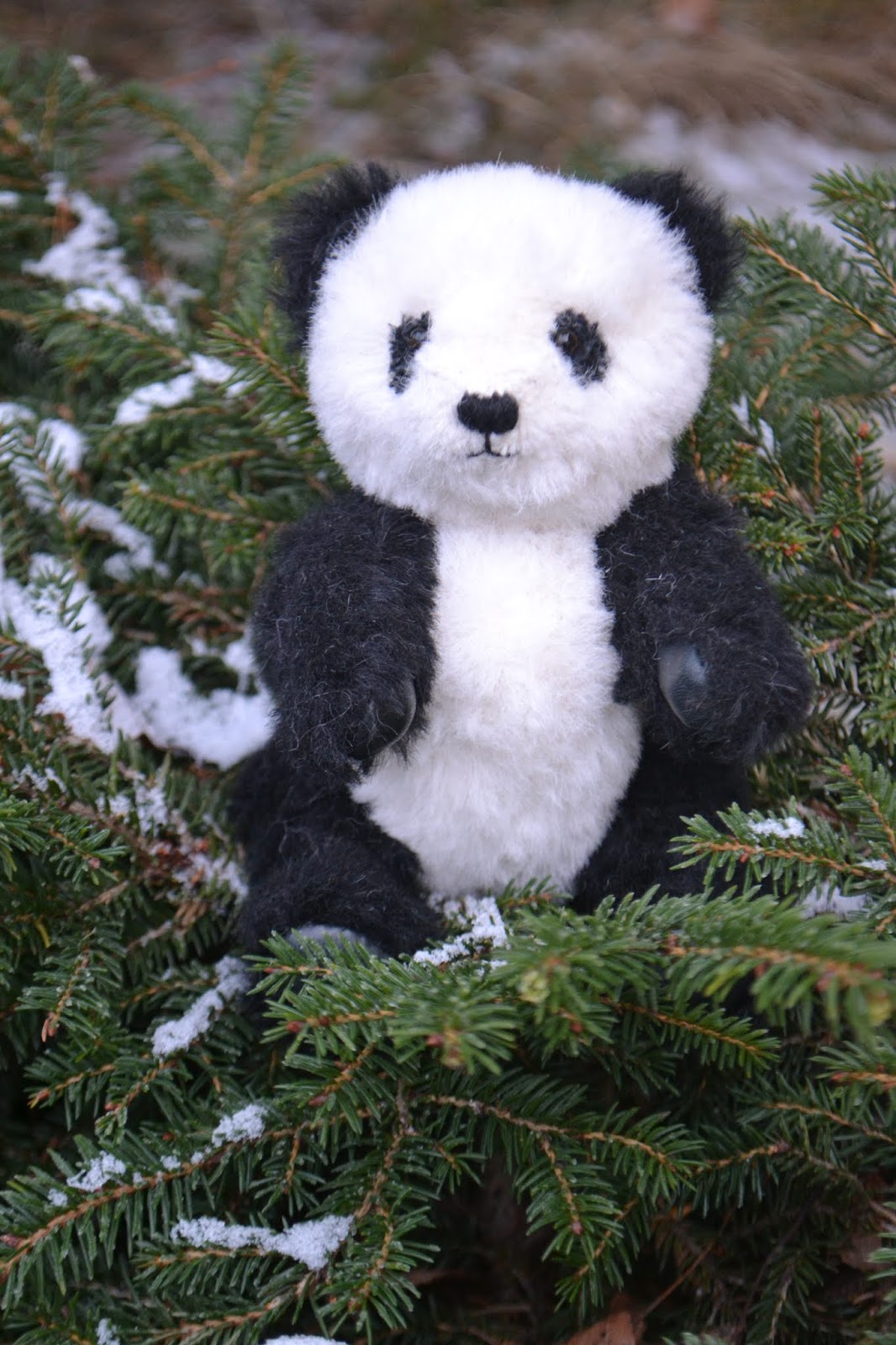 Louhi-Nalle: Pikku - pieni uusi vastasyntynyt panda-pentu