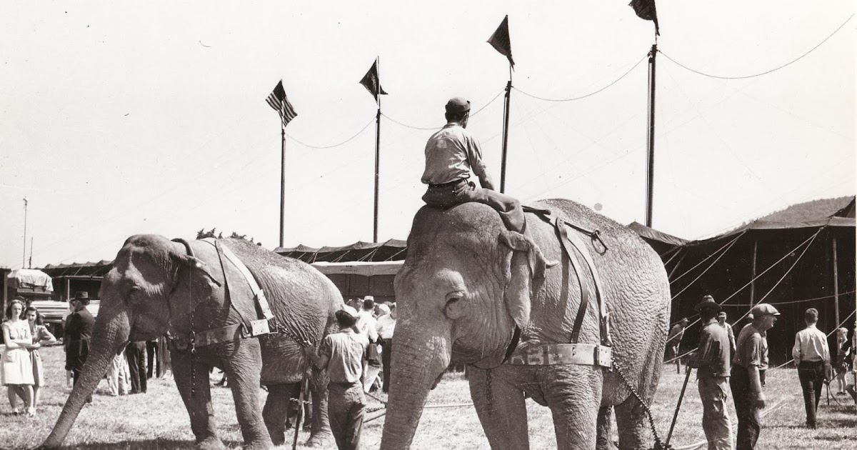 Buckles Blog: #1 RBBB