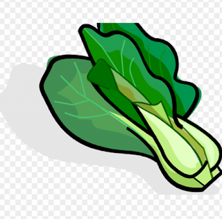 Sketsa Sayuran Dan Tutorial Cara Membuat Sketsa Untuk Pemula Fourwedhe