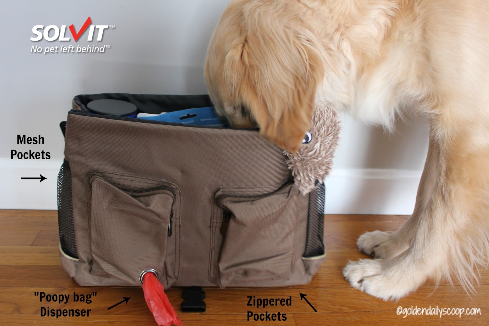 Solvit Makes Traveling With Your Pet Easy