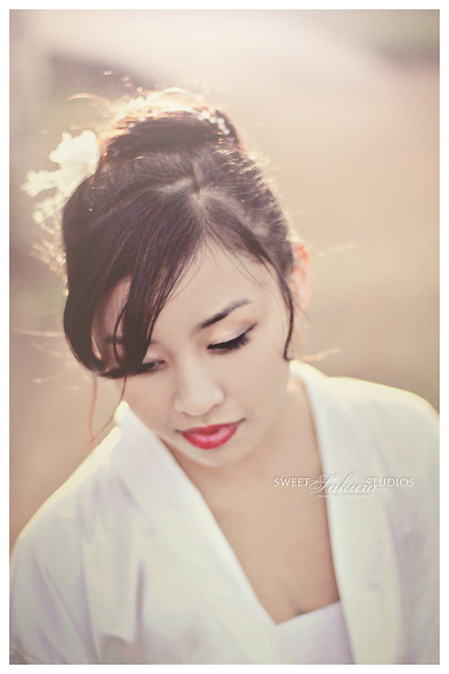 Sweet Sakura Studios: Inspired by Princesses | Mulan