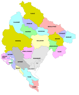 Detyra Kursi Te Gatshme Me Porosi: RAJONI JUGOR I SHQIPERISE