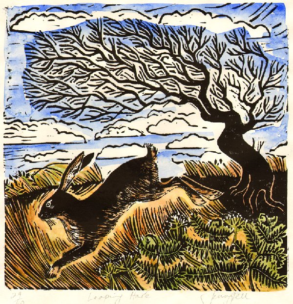 Musings from Gelli Fach: April, Hares and St Melangell