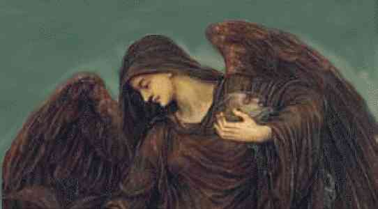 Mi Bosque Mágico: Poiel