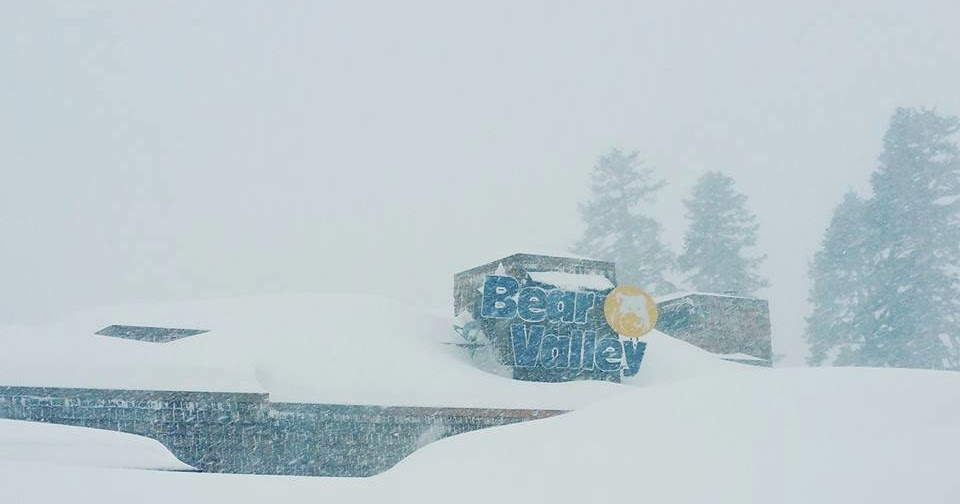 Some Brightness For This Dreary Weather