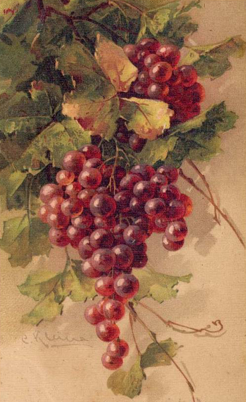 Catherine Klein Art & Alphabet on Pinterest | Catherine Klein ...