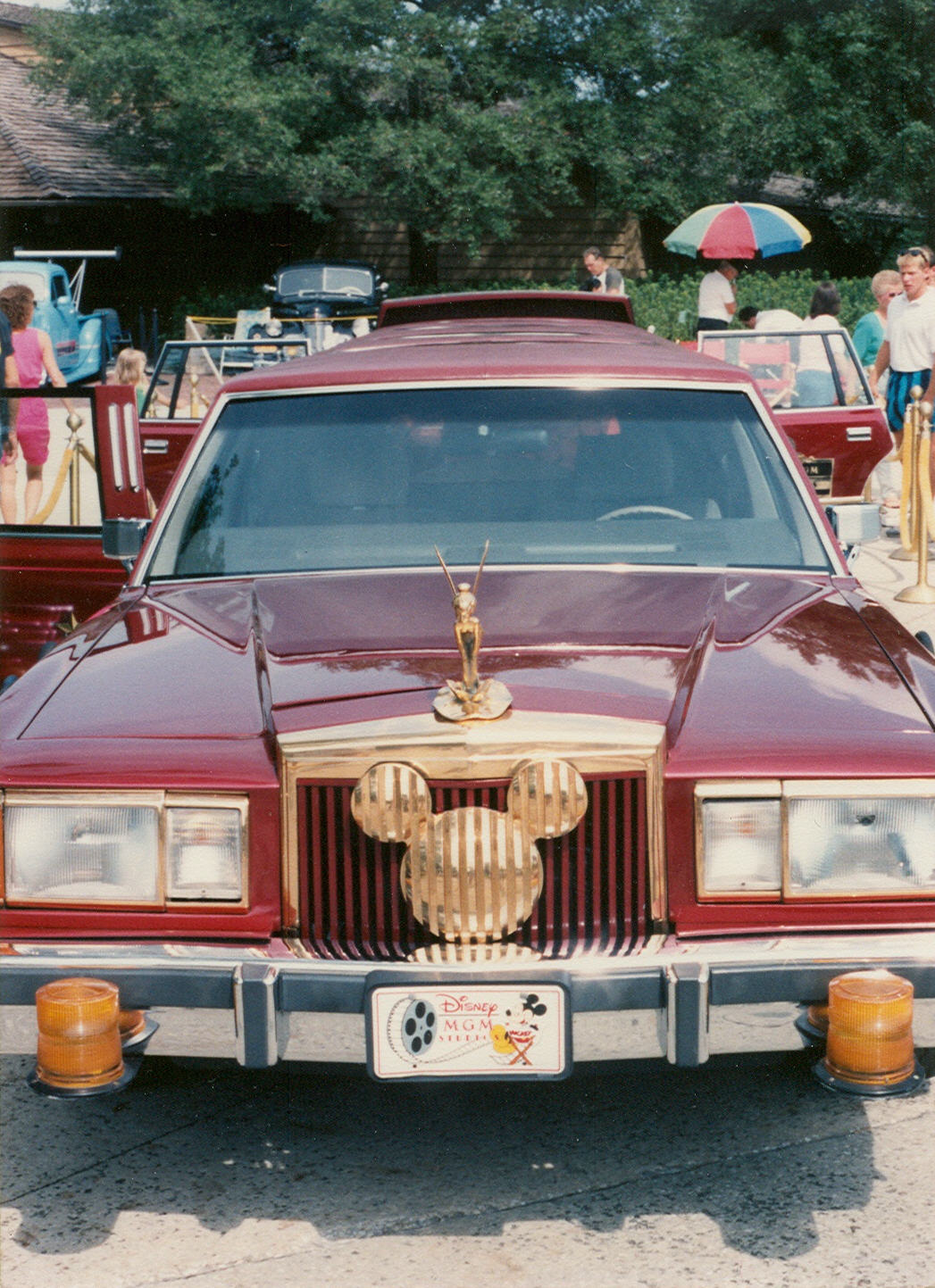 Disney Vacation Kingdom: LiMOUSEine at the Village