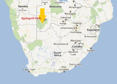 2 Suitcases: The Kgalagadi (a.k.a the Kalahari), an Introduction and ...