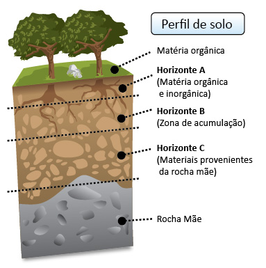 Geo - Conceição : TIPOS DE SOLOS DO BRASIL.