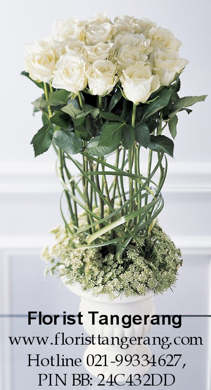 Bunga Mawar Putih | Pusat Florist Tangerang