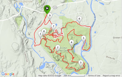 Breakheart Outdoors: Groton Town Forest Trail Race Report
