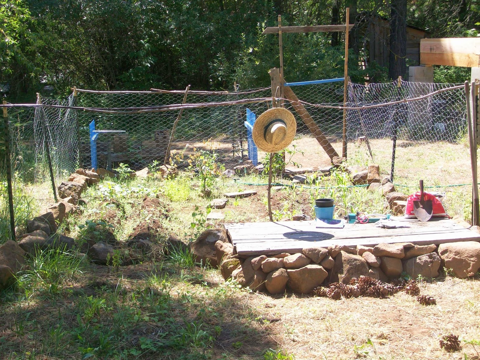 Living Off Grid: January 2015