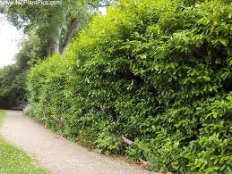 Quirkyworks - a writer's blog: May 2011