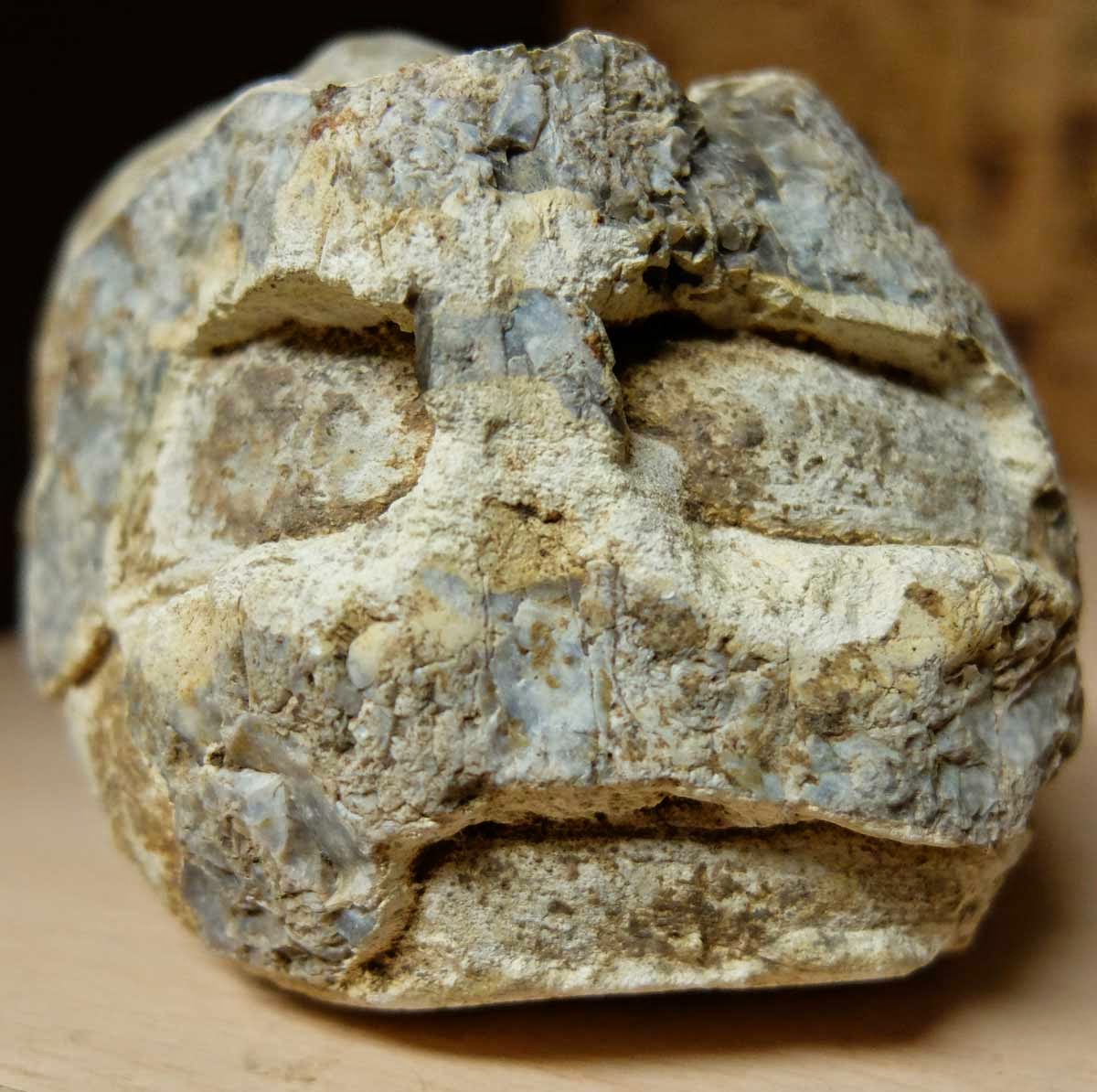 La Veja: COME RICONOSCERE UN BUGIARDO PATOLOGICO SERIALE