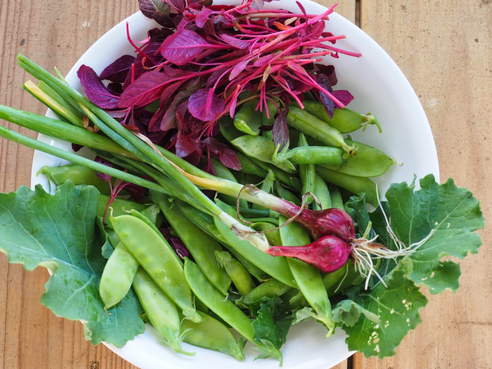 Budding and Blooming: Cooking Amaranth Leaves