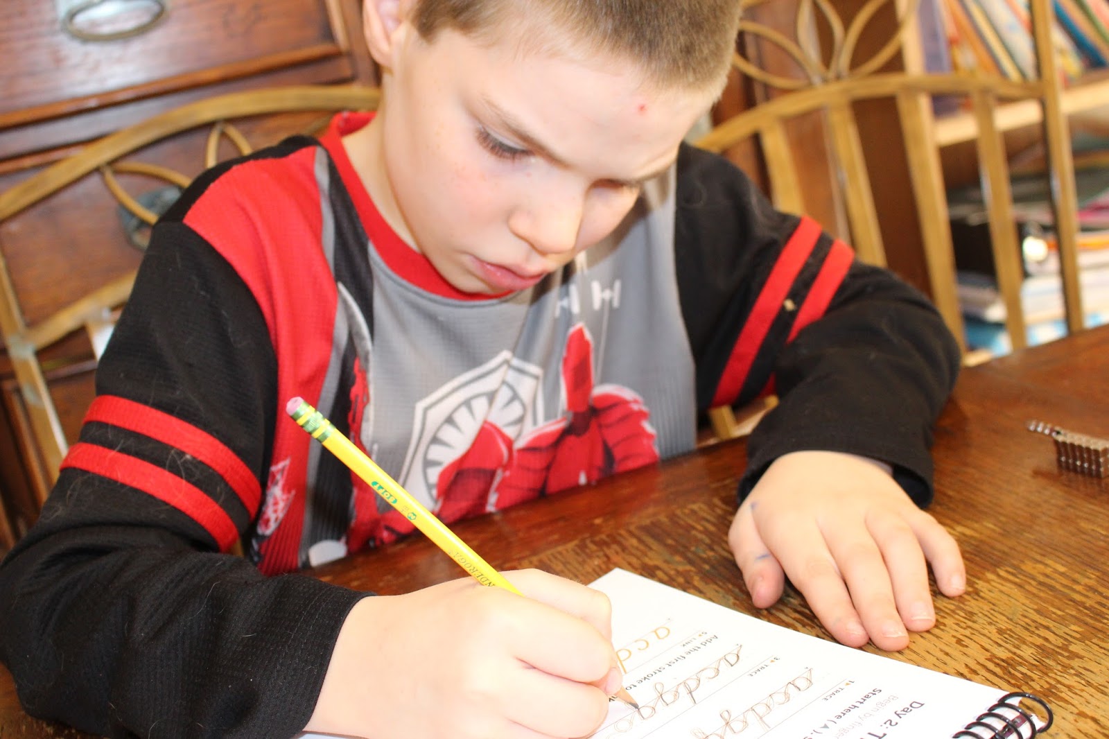 Counting Pinecones: CursiveLogic (A Homeschool Crew Review)