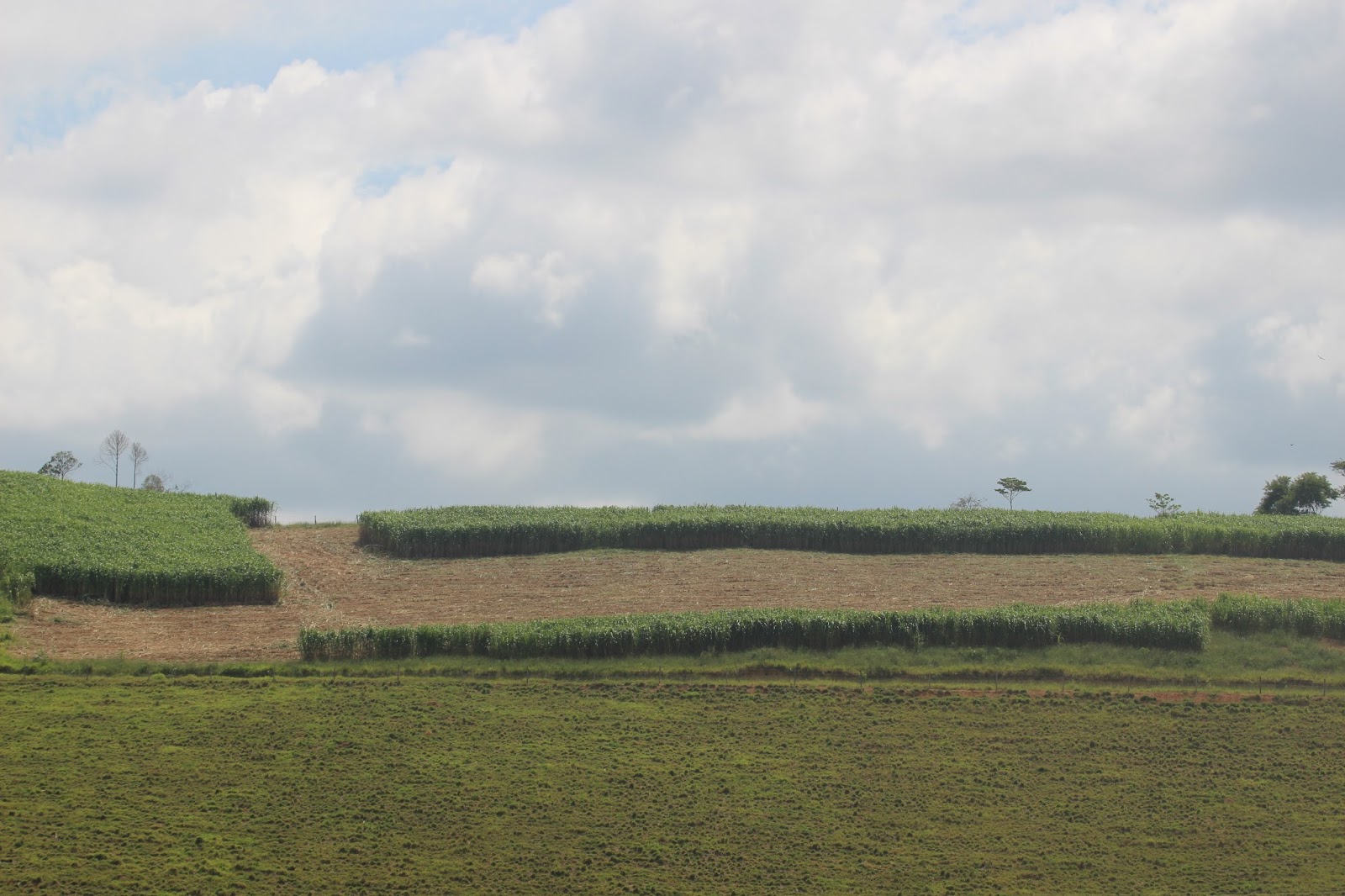 Fazenda Gamela! | Fazenda Gamela Eco Resort