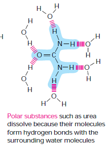 The BioLogs: CAPE 1 - Water: Introduction