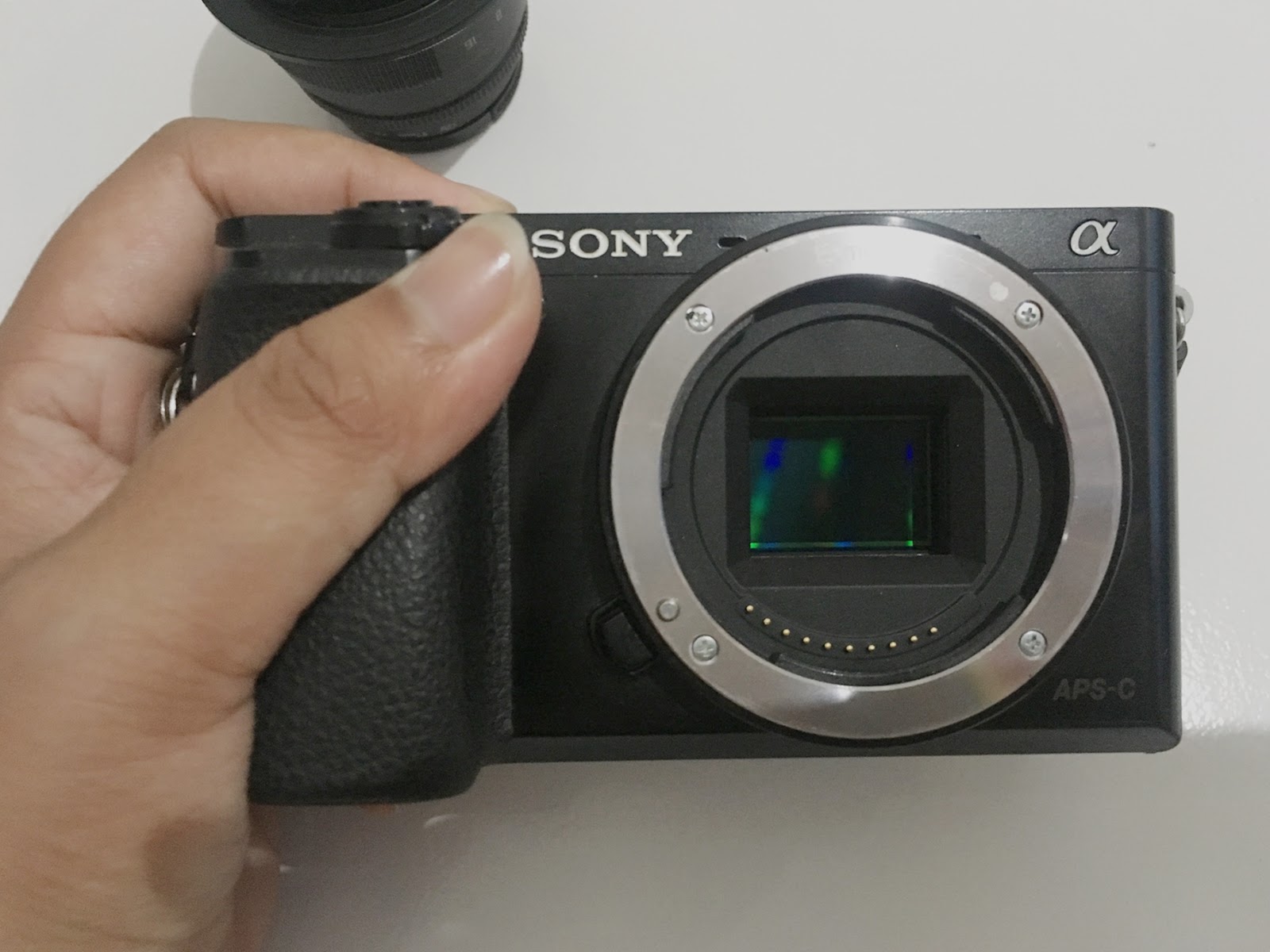 MENGATASI SENSOR KAMERA BERJAMUR (FUNGUS DI SENSOR KAMERA SONY A6000 ...