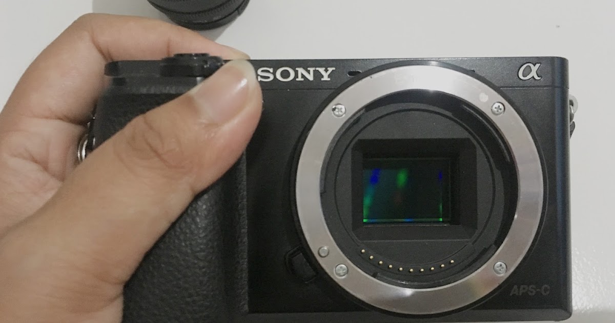 MENGATASI SENSOR KAMERA BERJAMUR (FUNGUS DI SENSOR KAMERA SONY A6000 ...