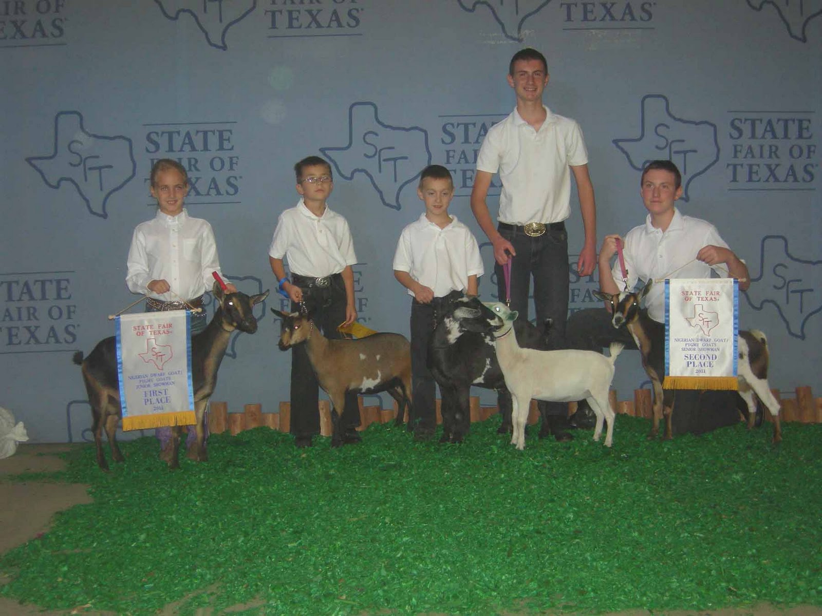Kaufman County 4-H News: Kaufman 4H Dairy Goat Club Rocks the Texas Fair