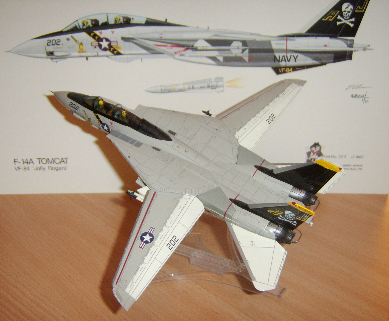 F-14A Tomcat jet ~ Asian Defence