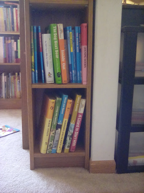 Dominique Speaks: Your Long Lost Library Books