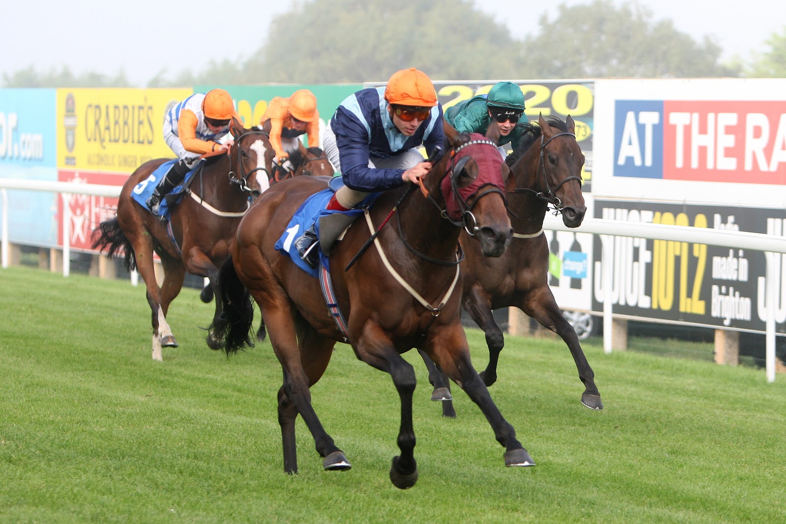 Ascot Racecourse: Q&A With Eve Johnson Houghton The Trainer of The ...