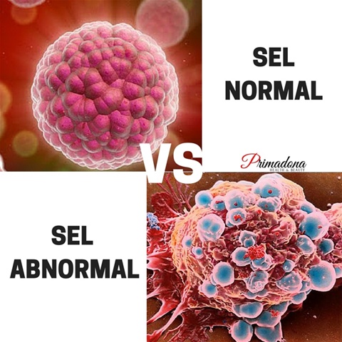 PENGETAHUAN ASAS KEPADA SEL KANSER ~ ONE STOP CANCER SOLUTION