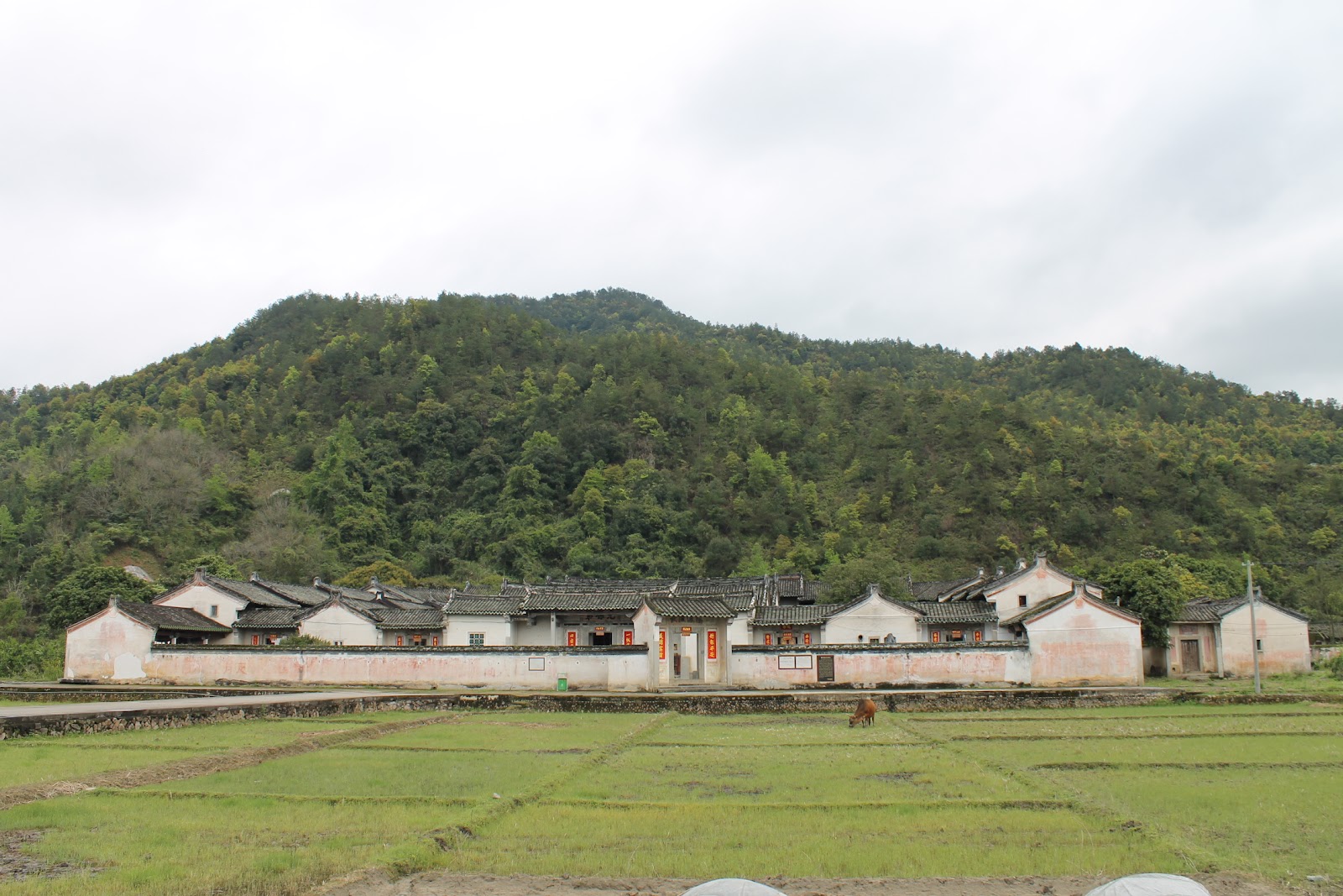 Casey's Space: Dabu County, Guangdong Province, China.