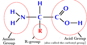 Study Material for Hotel Management Students: FOOD SCIENCE Unit 4 ...
