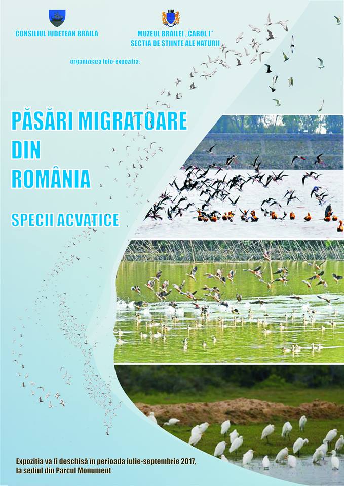 Ştiinţă pentru toţi: Foto-expoziția „Păsări migratoare din România ...