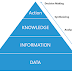 The DIKA Model and Leadership: What is DIKA?