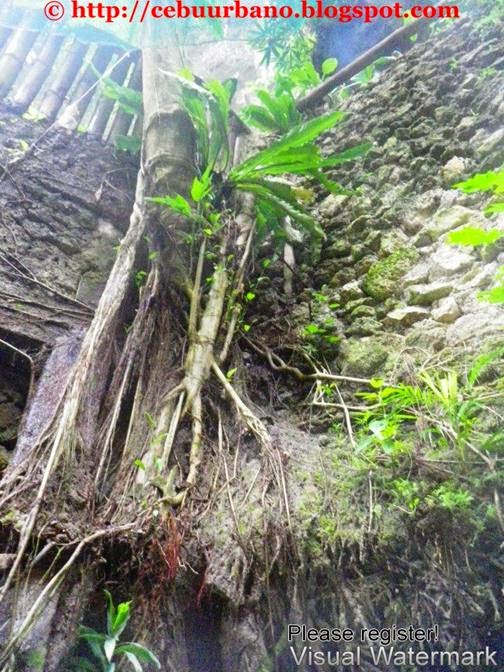 Cebu Urbano: Enjoying the thrill of hot spring waters at Esoy Hot ...