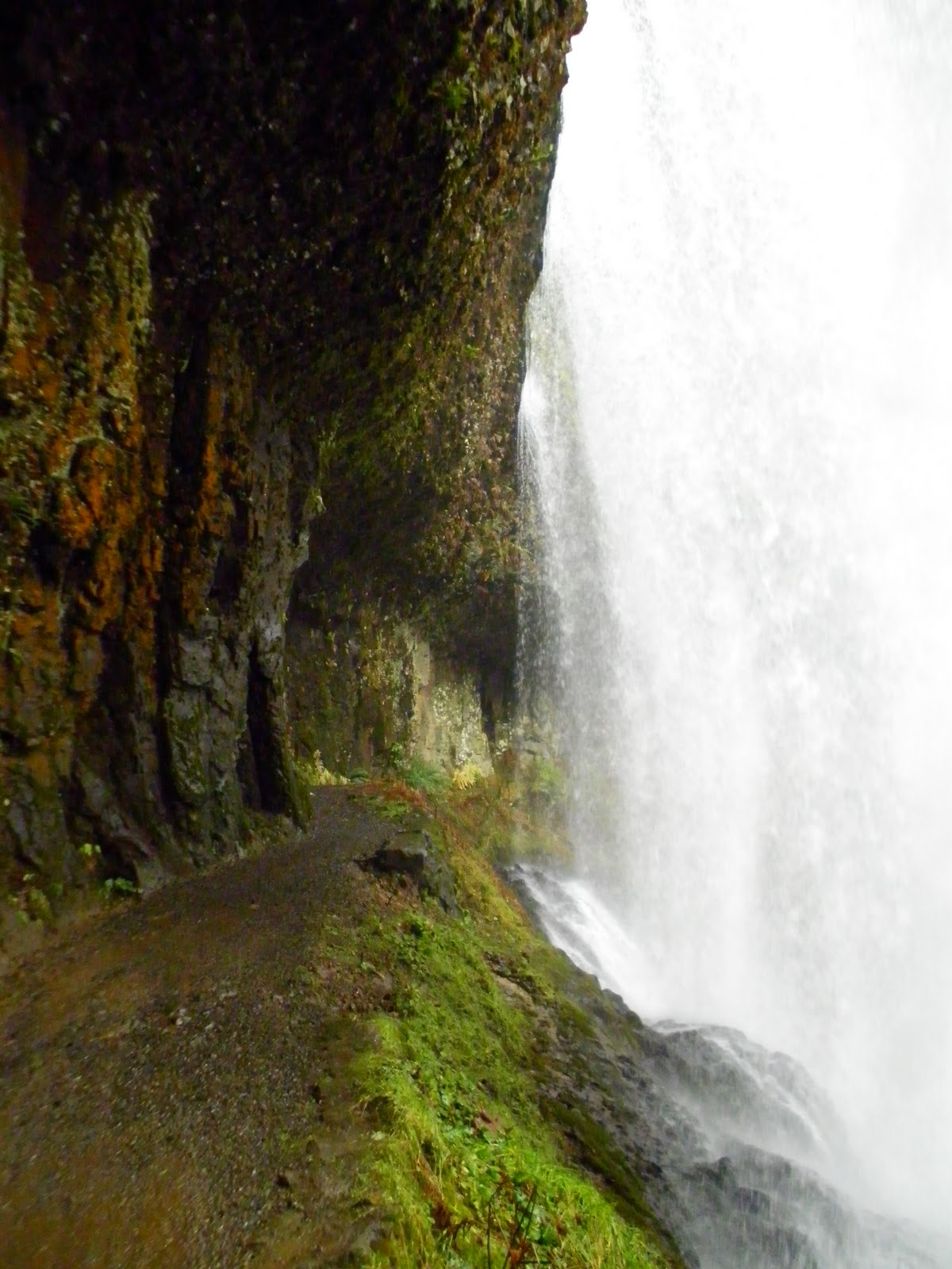 Black Watch Sasquatch: Silver Falls State Park - Silverton, Oregon