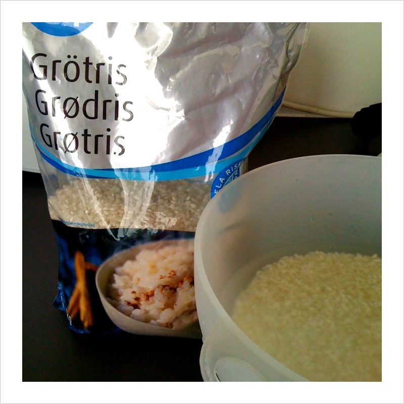 Denmark Diary: Rice