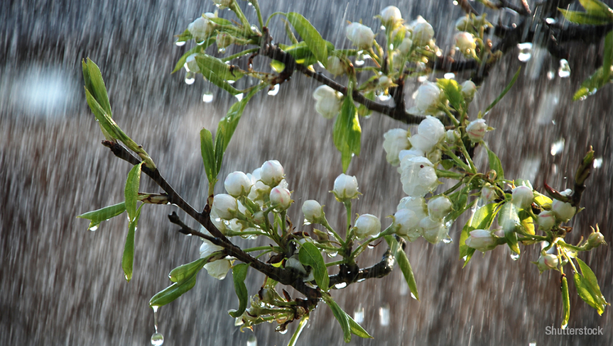 Poemas De Marco Casagrande Compositor Poeta CHUVA POESIA poemas-de-marco-casagrande-compositor-poeta-chuva-poesia