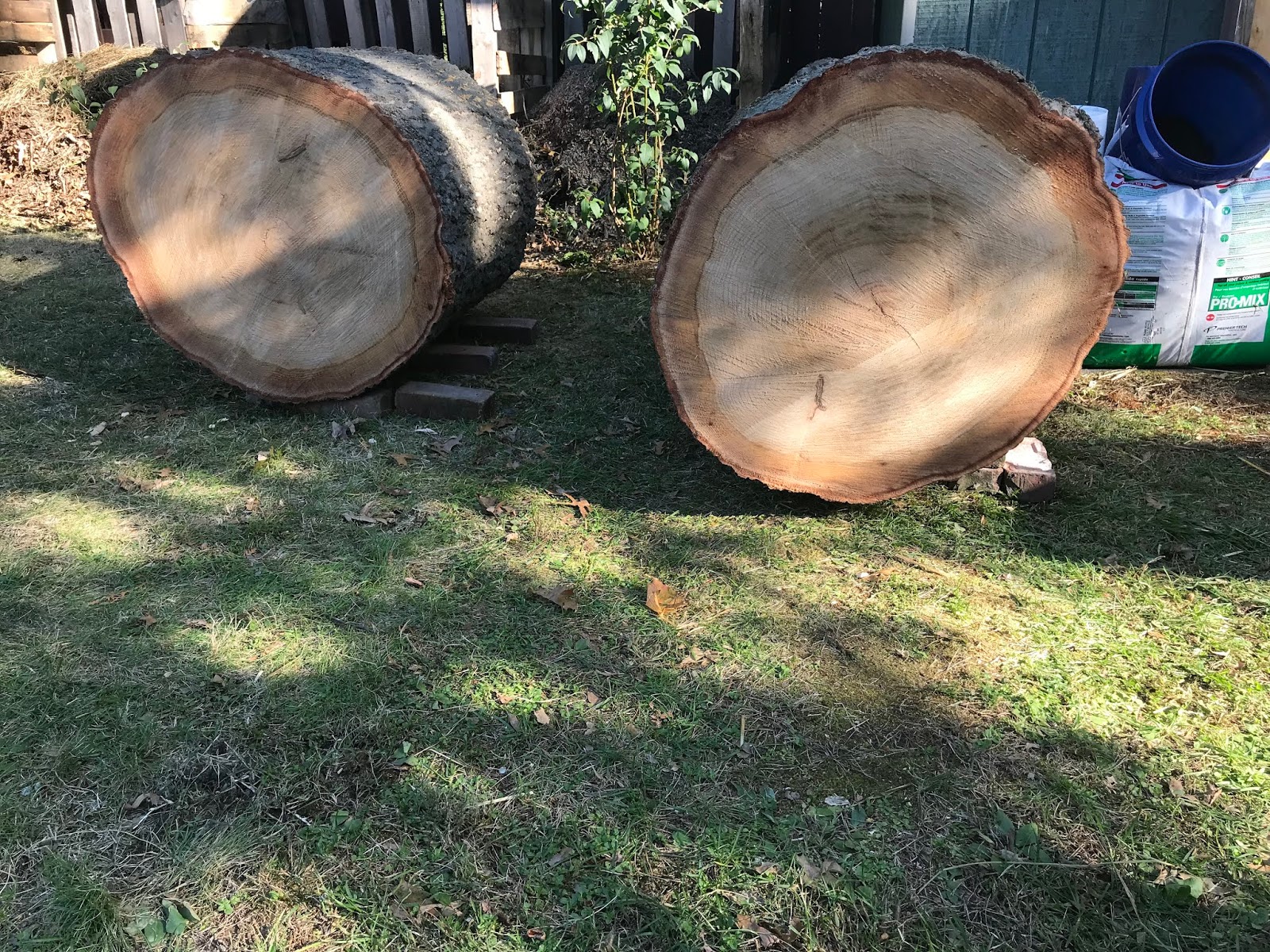 The Grilling Greek: My Four Compost Bins