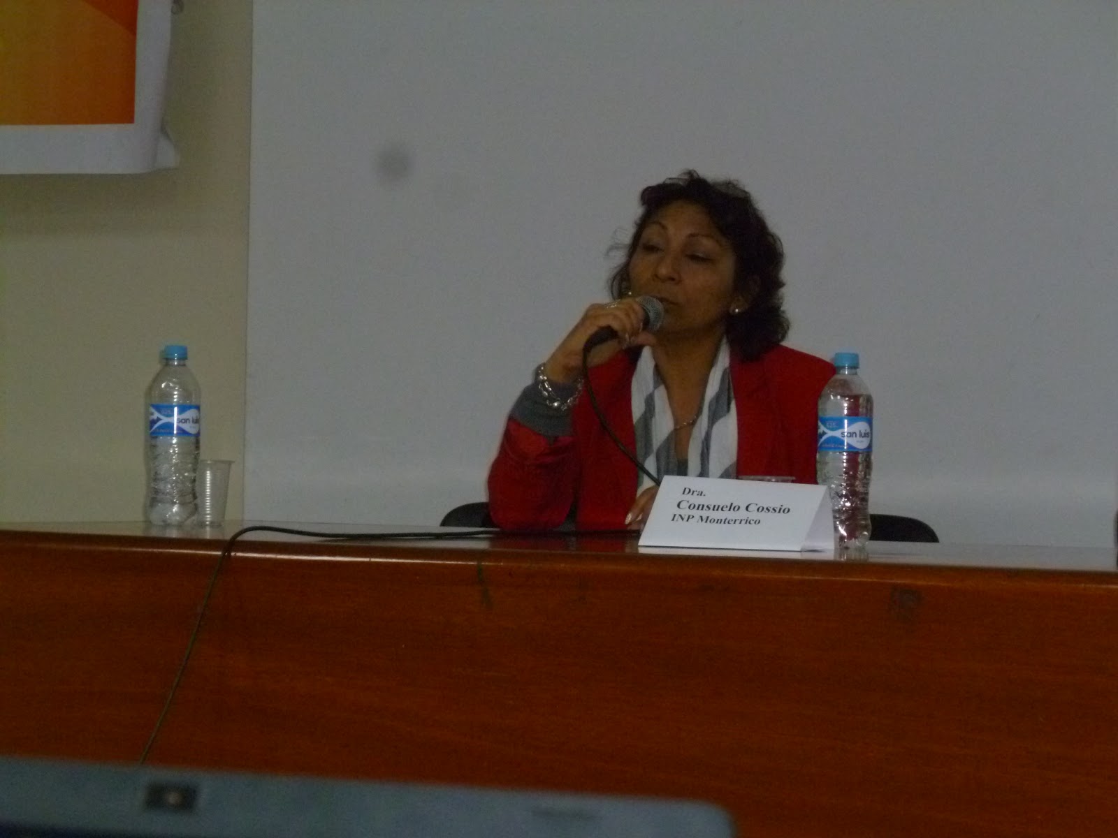 ALCIDES TORRES PAREDES: noviembre 2012