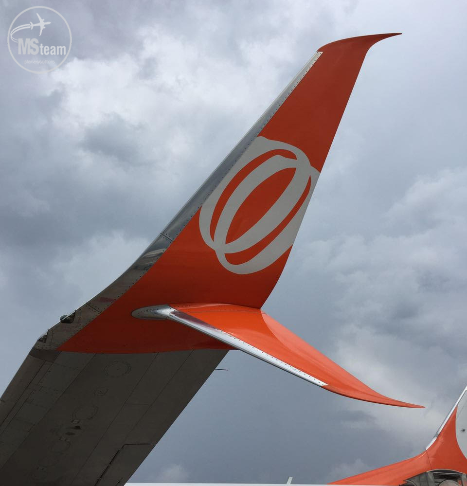 Split Scimitar Winglets. Boeing 737-8EH | Manaus Spotting Team