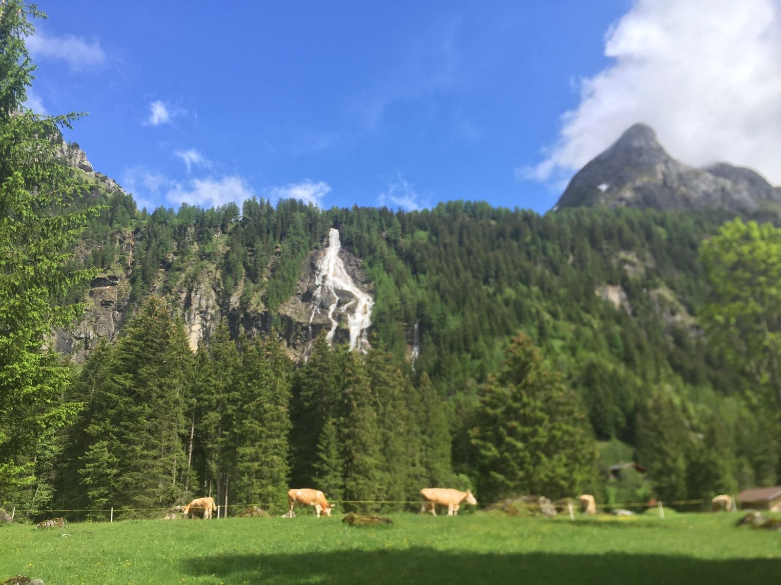 Von Lauenen zum Lauenensee